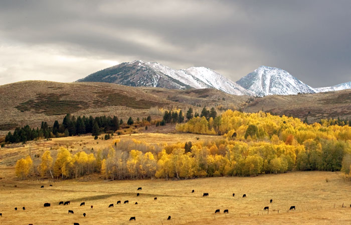 Historic Sites and Points of Interest in Mono County, California